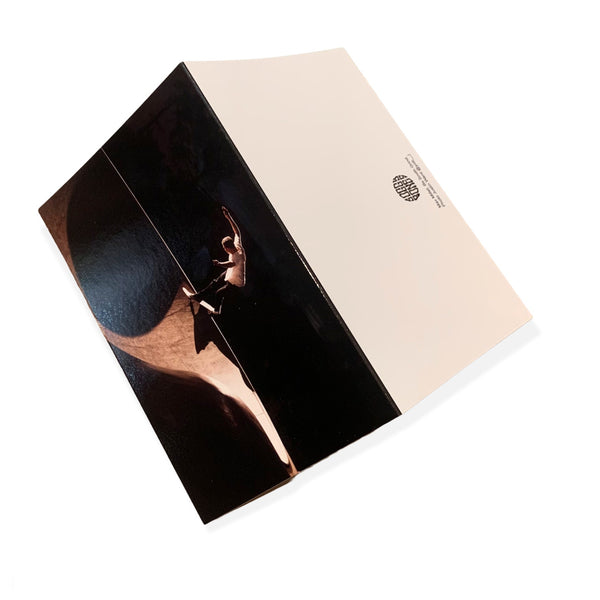 Soggybones All Occasion cards. – soggybones dunsborough